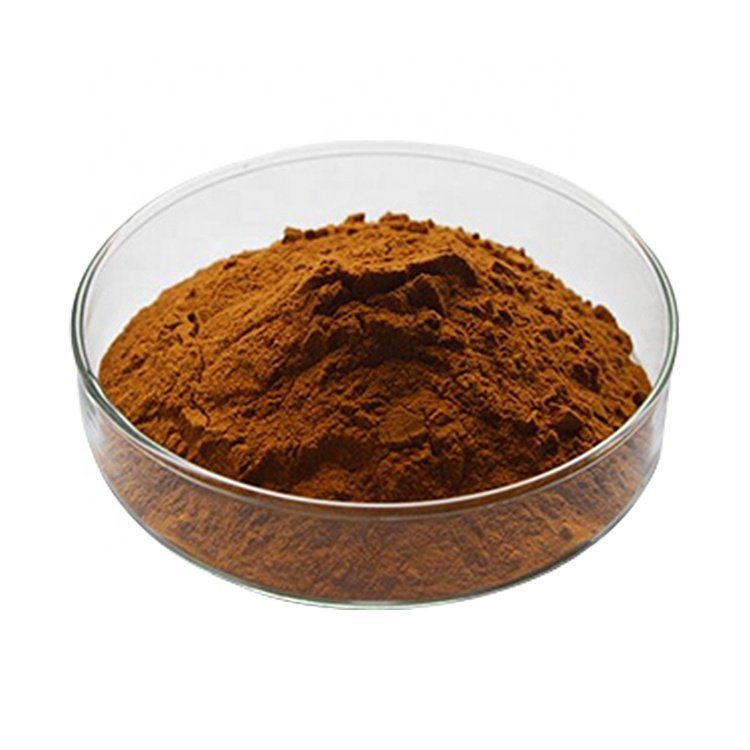Free Sample Agarikon Officinalis Extract/Agarikon Extract/Laricifomes ...