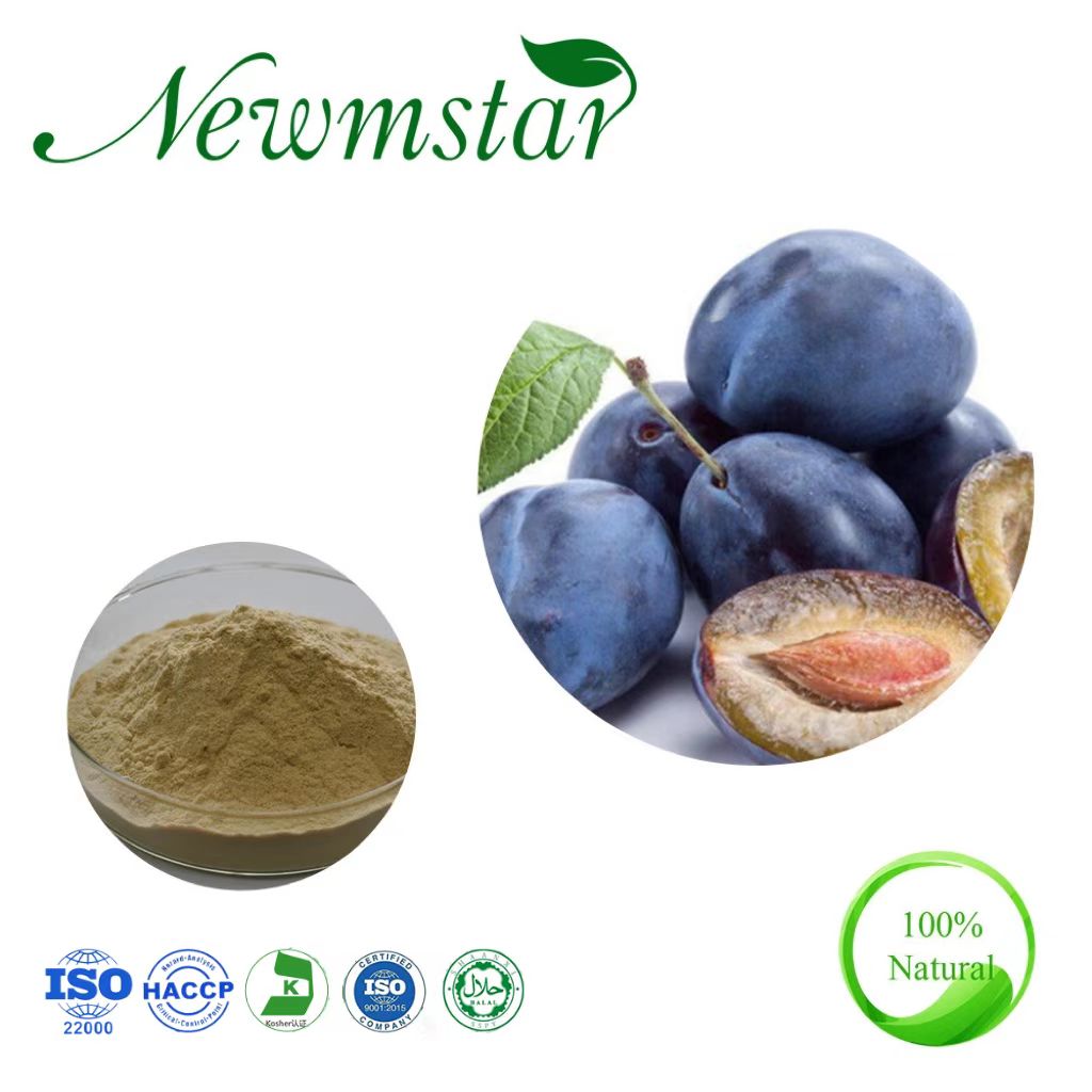 Plant Extract Plum Extract/Black Plum Extract /Fructus Mume/Smoked Plum ...