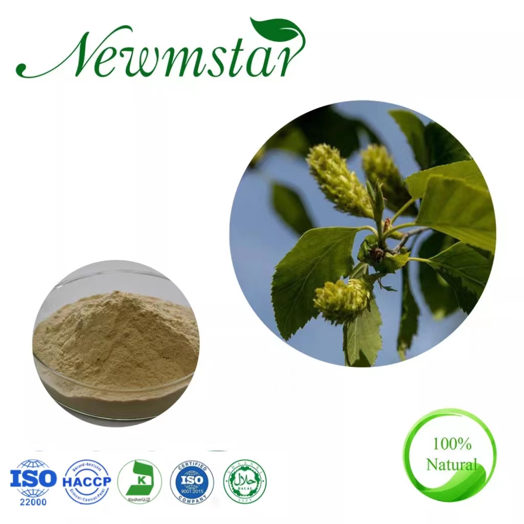 100% Natural Betula Platyphylla Suk. Birch Leaf Extract Betula Alba Extract